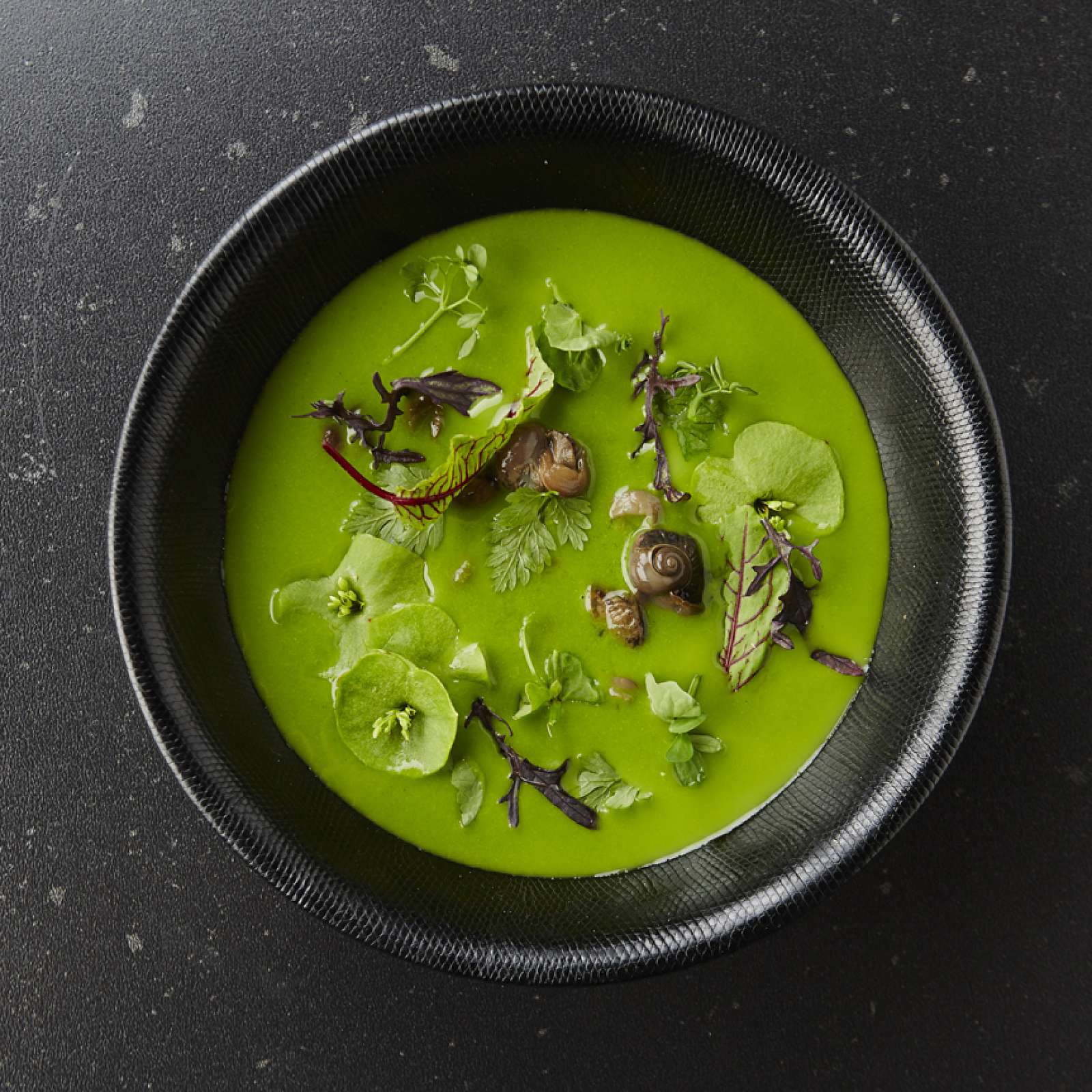 Thermomix TM7 workshop: Thermomix TM7 demo met Jan - donderdag 29 mei ...